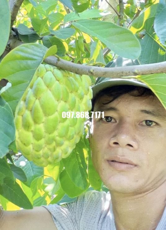 Các giống cây Na chất lượng cao tại Nhà Vườn Xuân Khương