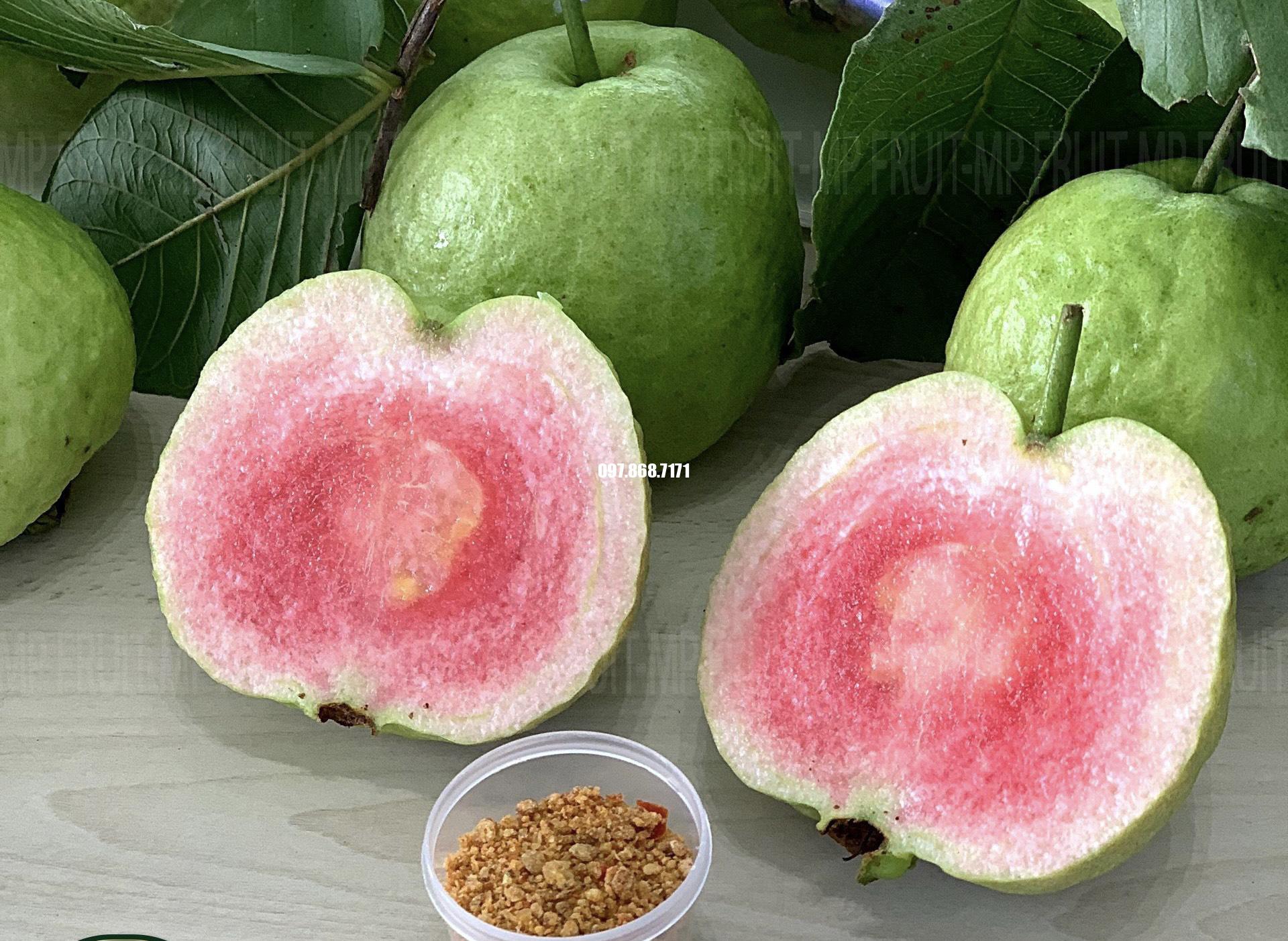 Cây Ổi Ruby - Kỹ thuật trồng cây ổi Ruby đạt năng xuất cao